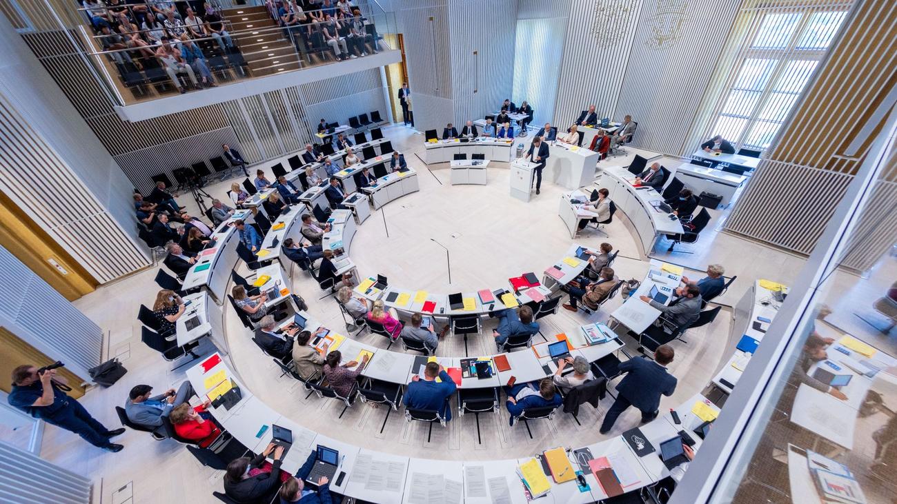 Landtag: Landesregierung gibt Millionen für Personalwerbung aus | ZEIT ...