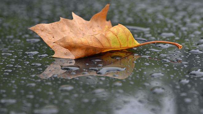 Wettervorhersage: Tief Queenie sorgt für Regen in Deutschland | DIE ZEIT