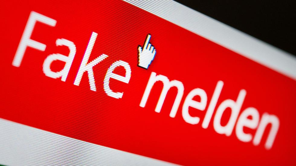 Falschinformationen: Der Erfolg von Fake News | ZEIT ONLINE