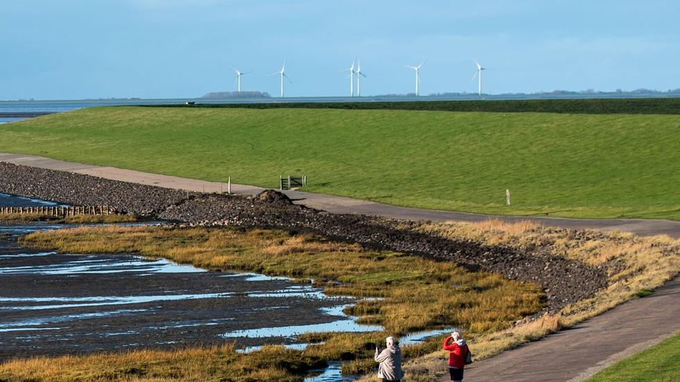 Küstenschutzbauwerke: Die Deichgrafen kommen: Beginn der Herbst ...