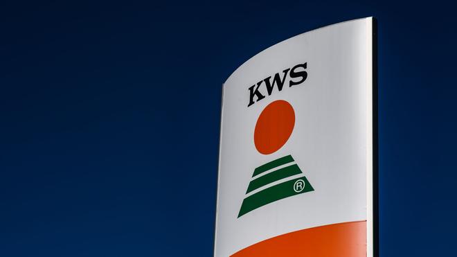 Saatguthersteller: KWS Saat erwartet mindestens 7 Prozent mehr Umsatz ...