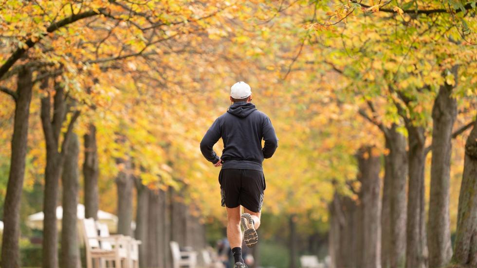 Internationaler Vergleich: WHO-Report: Deutsche bewegen sich zu wenig | ZEIT ONLINE