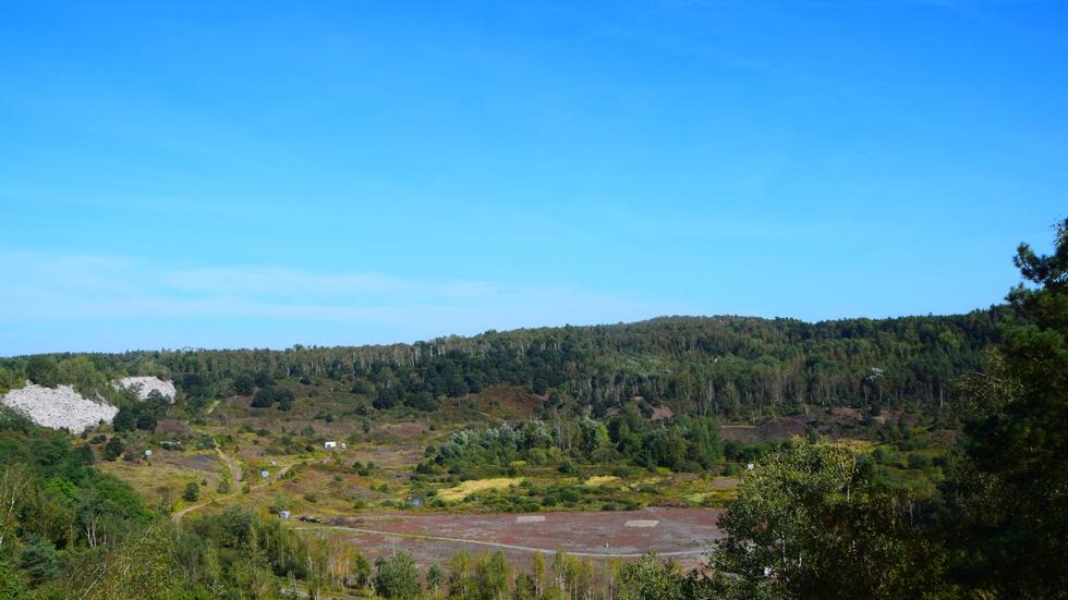 Wissenschaft: Grube Messel und Ulmener Maar: Geologisch bedeutende Orte ...