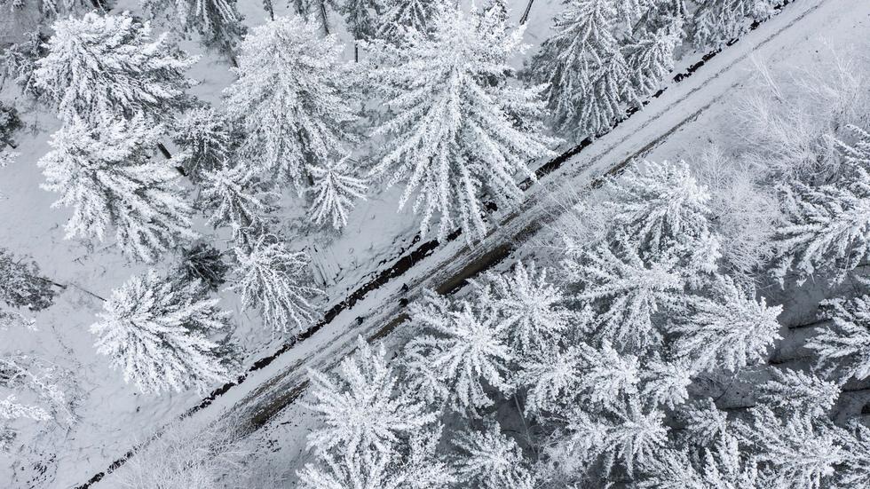 Wetter: Frost und Schnee am Wochenende in Thüringen | ZEIT ONLINE