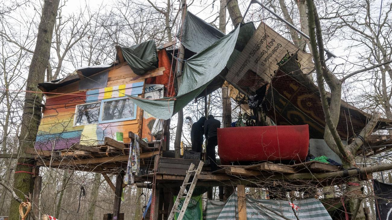 Demonstrationen: Hunderte protestieren gegen Rodung in Fechenheimer ...