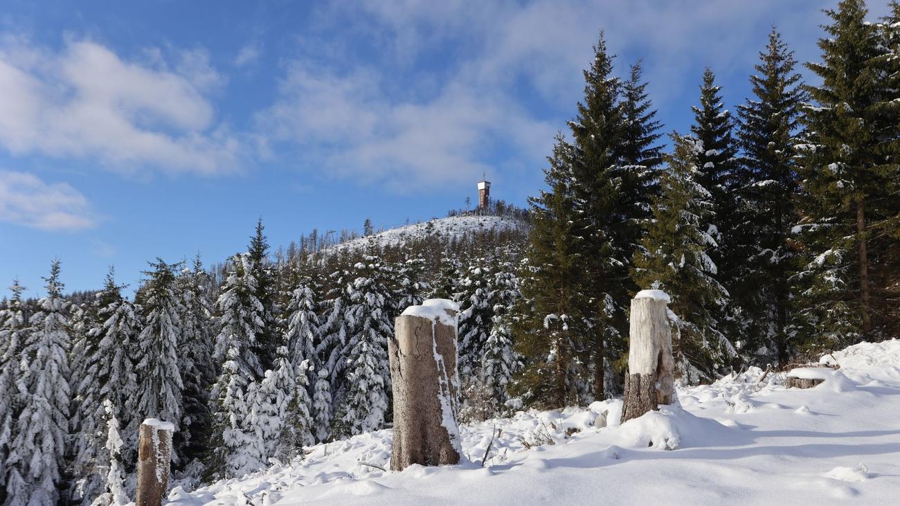 Vorhersage: Sturm und Regen am Wochenende: Schnee im Harz nächste Woche ...