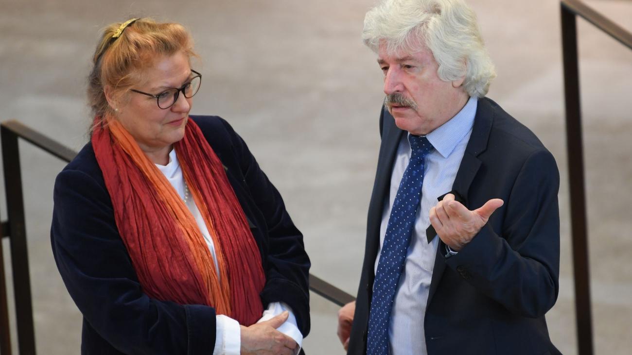 Landtag: AfD-Fraktion verliert mit Papst-Dippel ein weiteres Mitglied ...