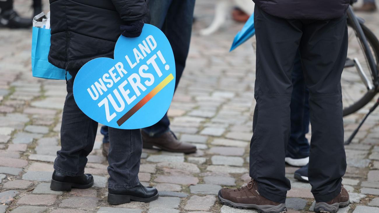 Wahlen: Kopf-an-Kopf-Rennen von Linke und AfD in neuer Umfrage | ZEIT ONLINE