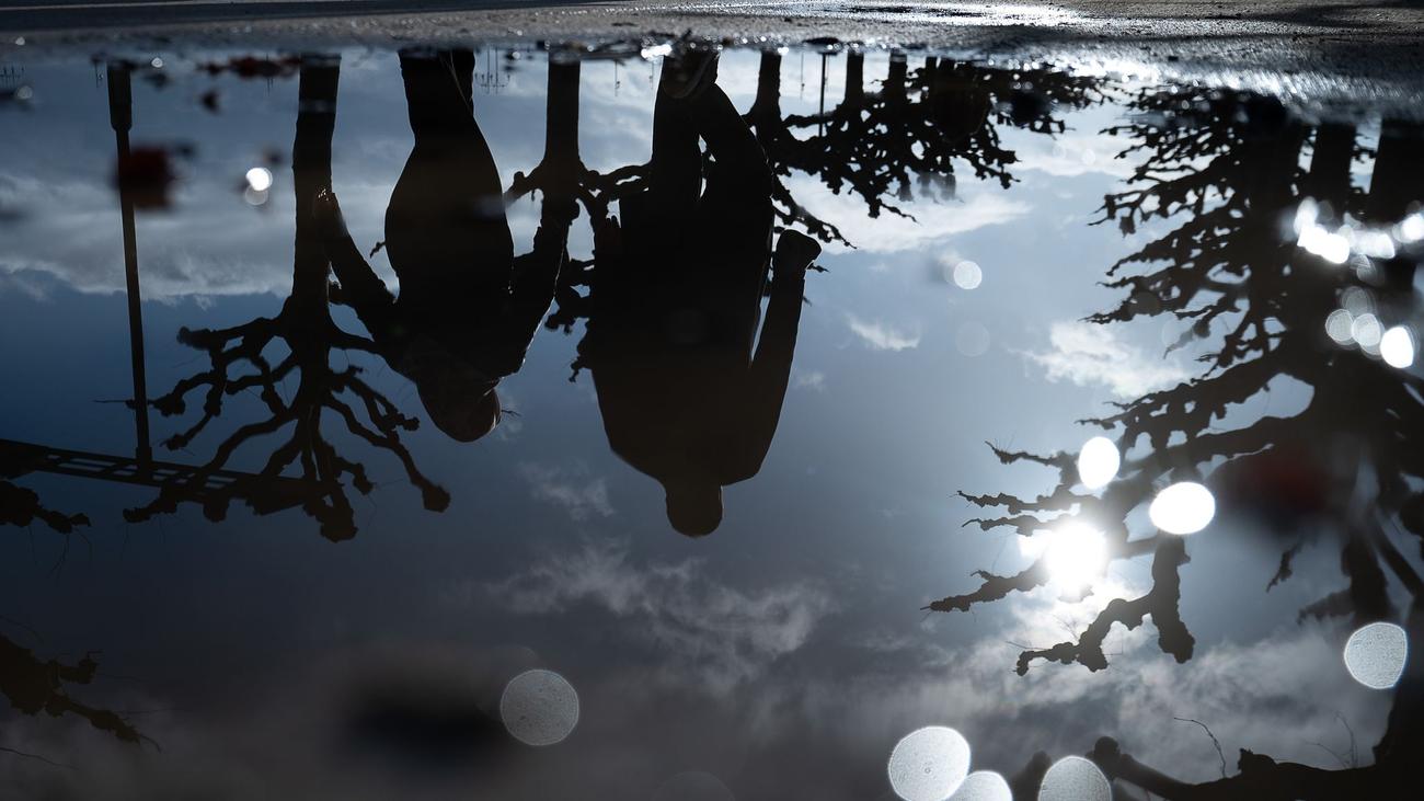 Forschungsprojekt: "Rheinland-Pfalz-Monitor" misst erstmals politische ...