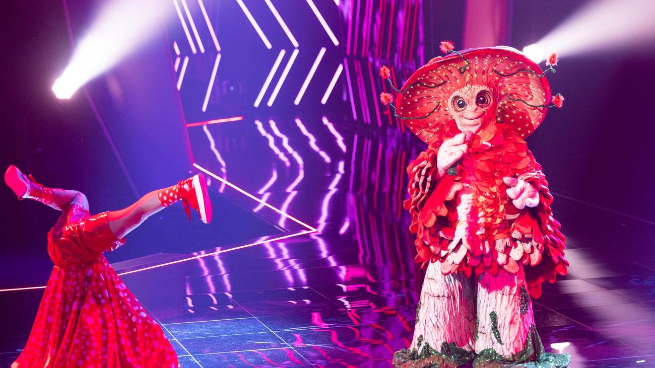 ProSieben-Musikshow: "The Masked Singer": Der Pilz fliegt raus | DIE ZEIT