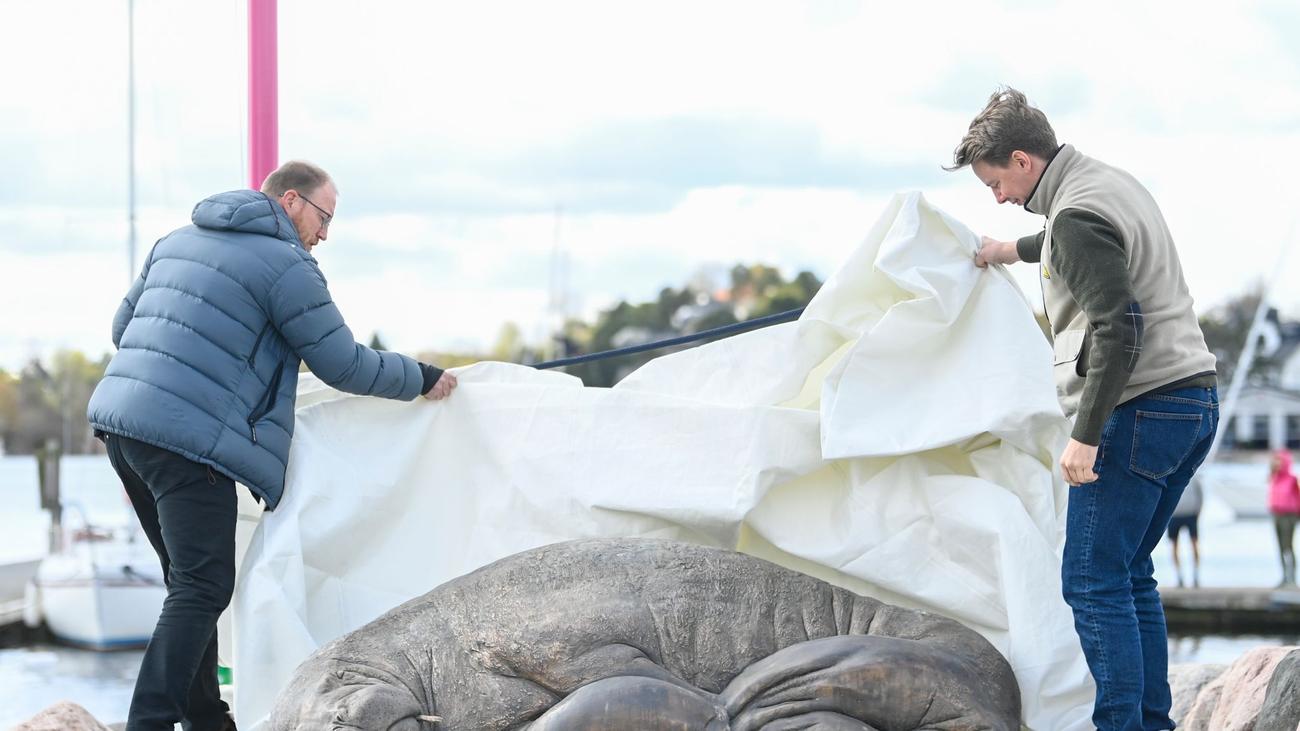 Enthüllung: Denkmal für eingeschläfertes Walross Freya in Oslo enthüllt ...