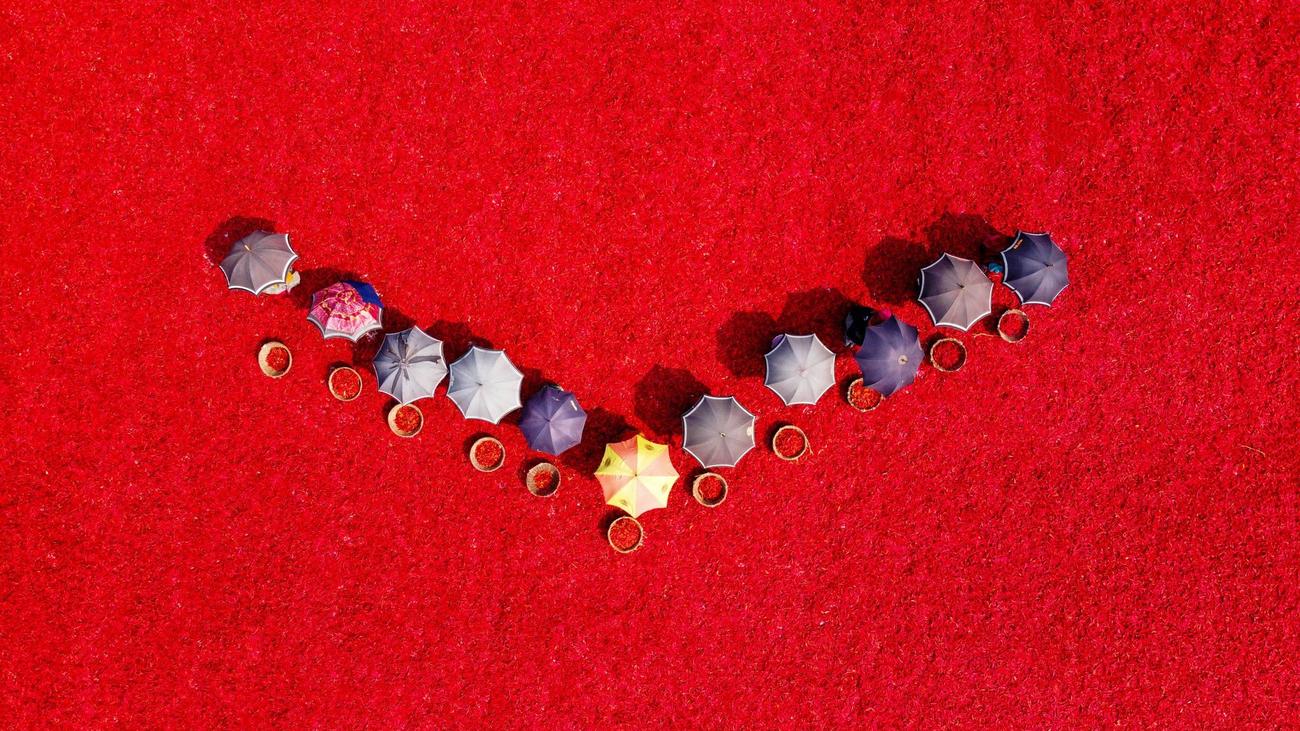 Fotografie: Bilder des Tages | DIE ZEIT