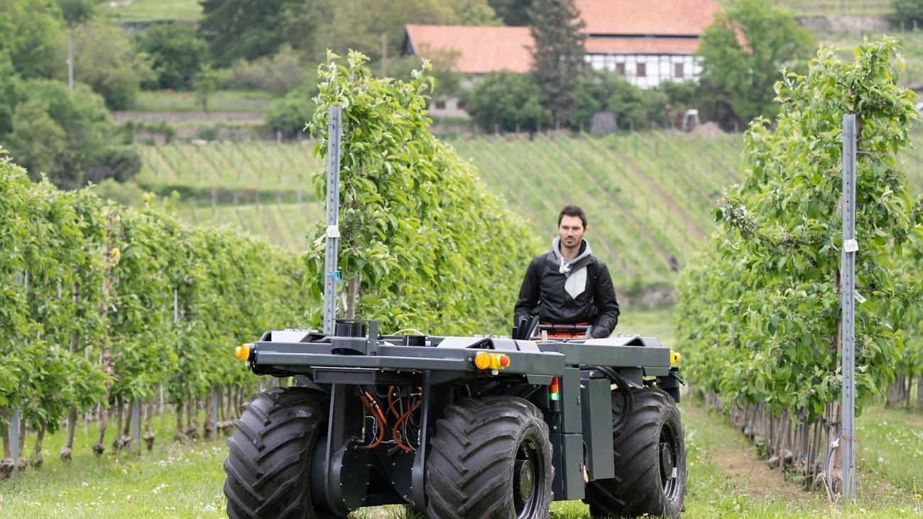 Agrar: Autonomer Obst- und Weinbauroboter dreht erste Runden | DIE ZEIT