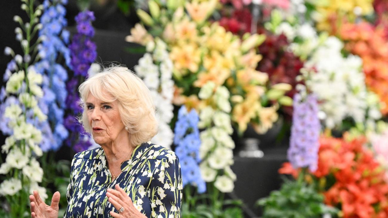 Fotografie: Bilder des Tages | ZEIT ONLINE