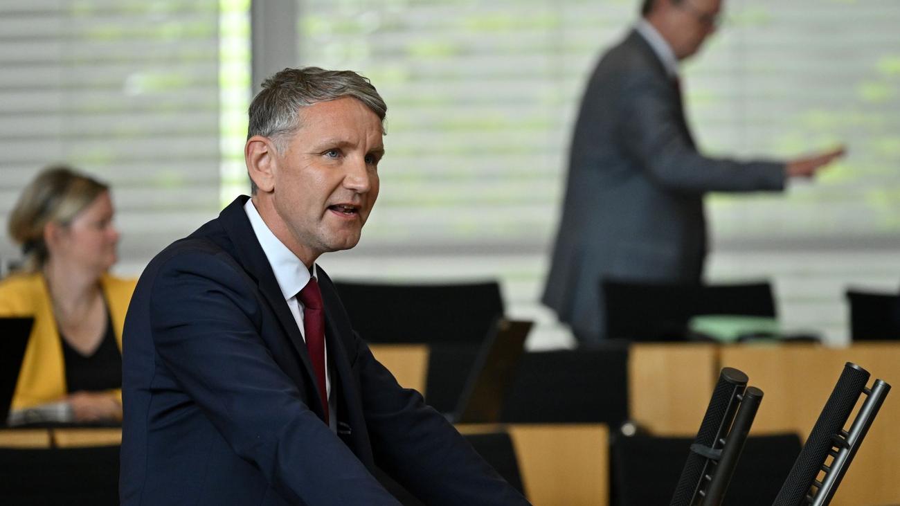 AfD-Landesparteichef: Höcke fällt bei Wahl für Untersuchungsausschuss ...
