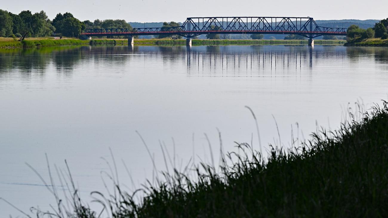 Naturschutz: Umweltministerin: Zusammenarbeit mit Polen zur Oder ist ...