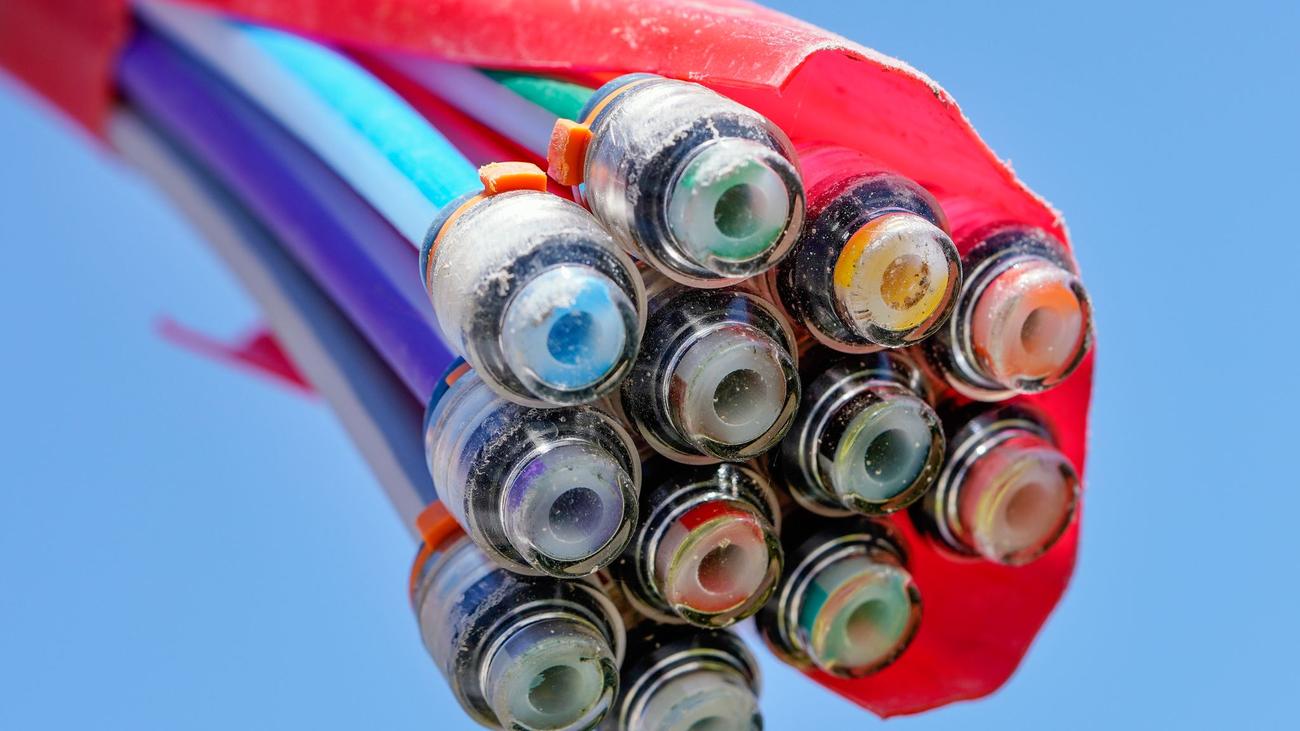Telekommunikation: Glasfaser: Envia Tel bringt 80.000 Haushalten Turbo ...