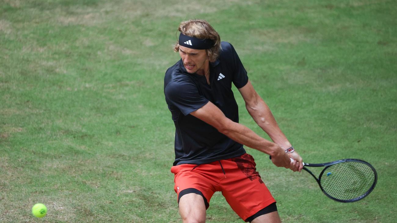 Tennis: Zverevs Spaß in Halle: "Ganzes Stadion hinter mir" | DIE ZEIT