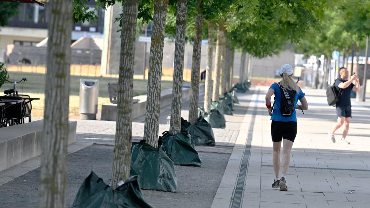 Aussichten: Hitze in Deutschland: Am Sonntag bis zu 38 Grad erwartet ...