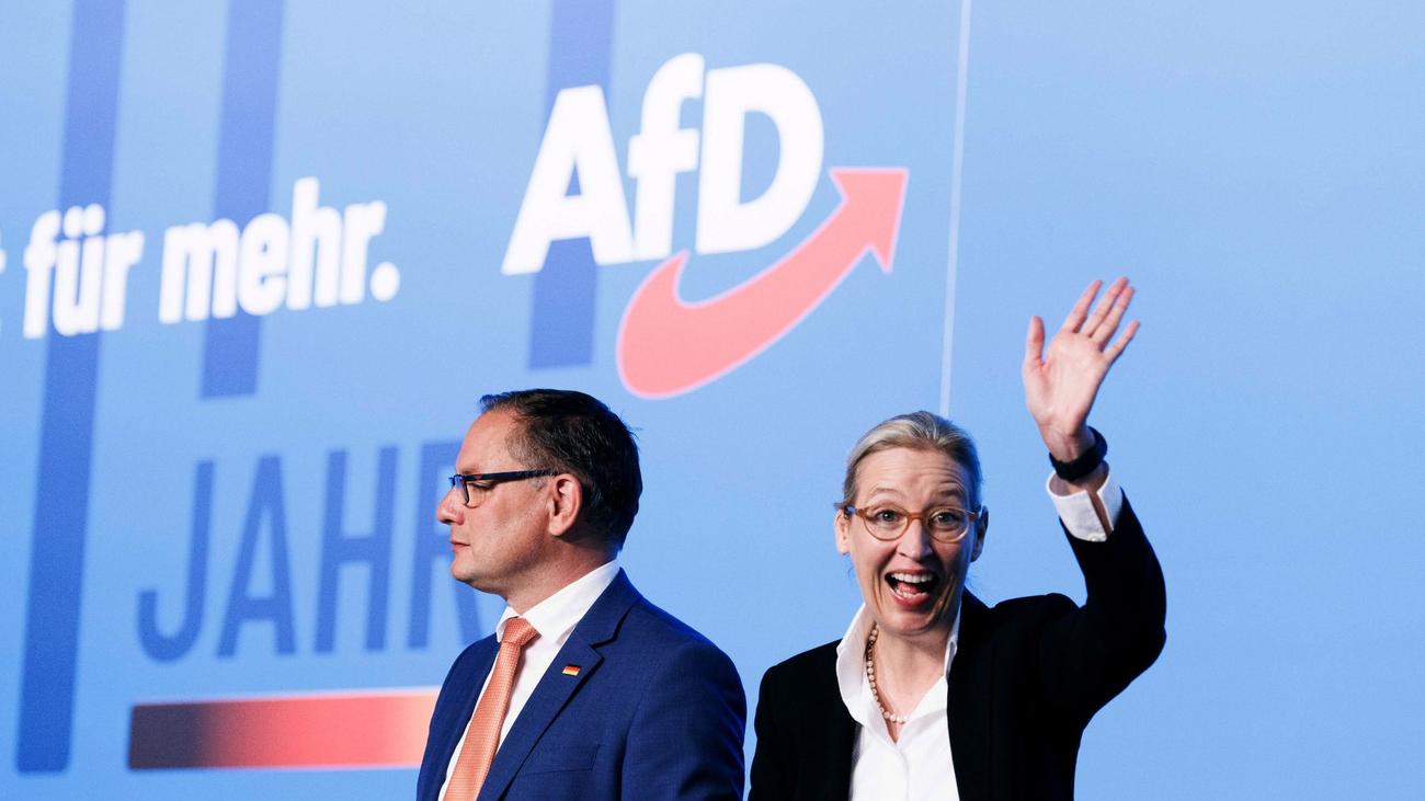 Parteien: AfD will ID-Partei beitreten: Zusammenarbeit mit Le Pen | DIE ...