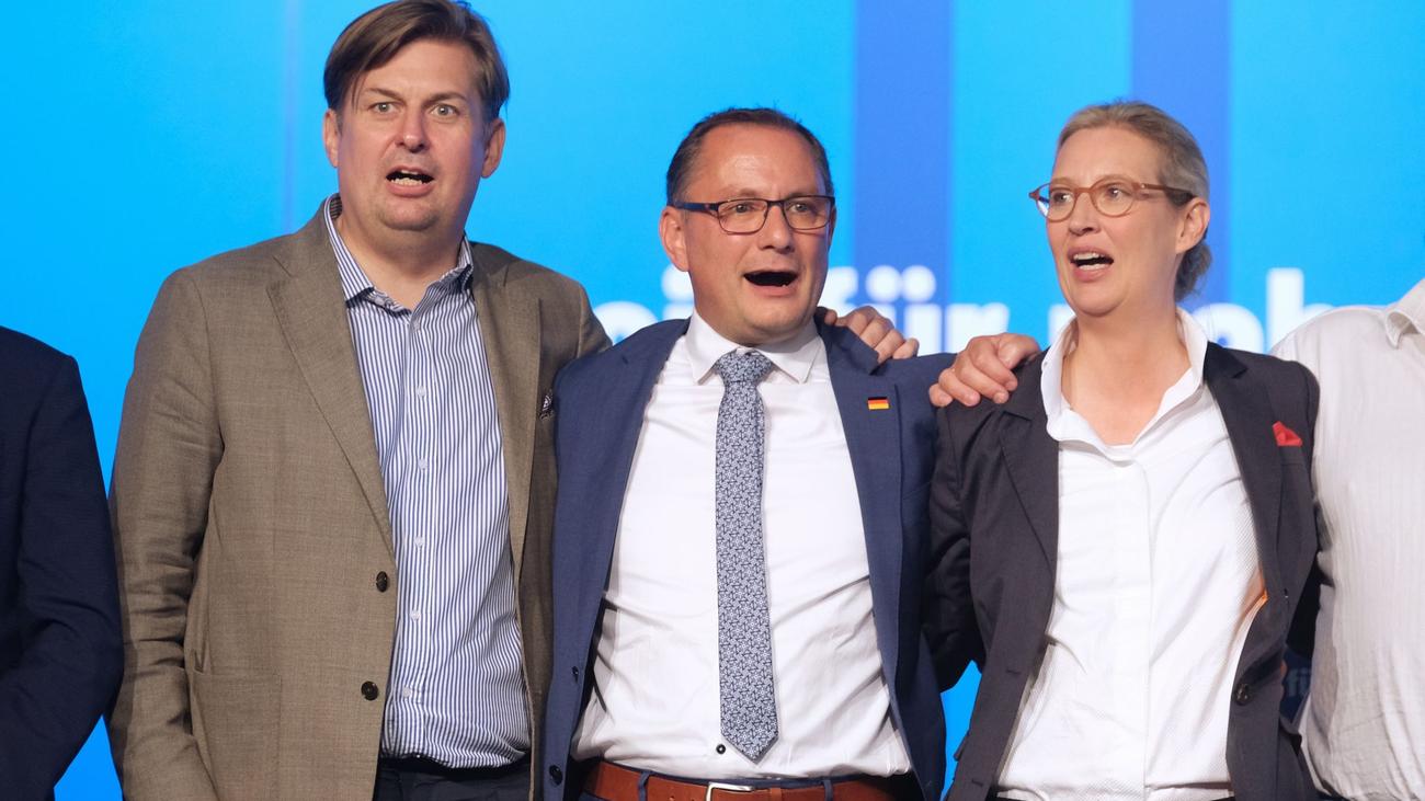 Europaparlament: AfD-Programm: Einigkeit zwischen Europas ...