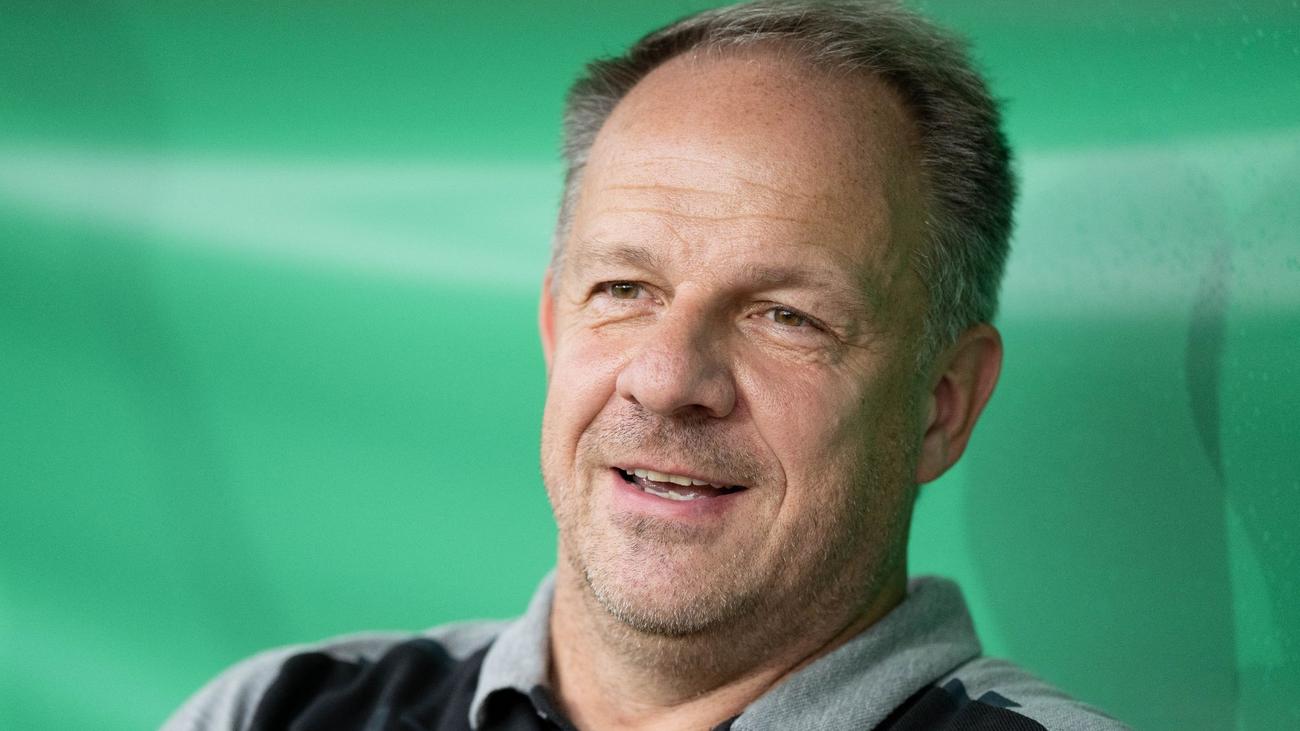 Fußball: HFC reagiert auf Beleidigung gegen Green und stellt Anzeige ...