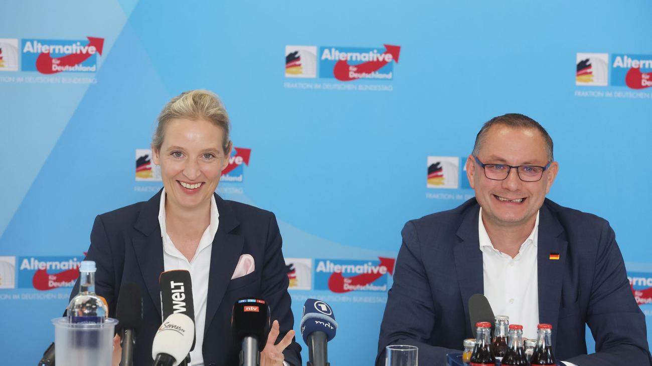 Parteien: AfD legt Papier für "AfD-geführte Bundesregierung" vor | DIE ZEIT