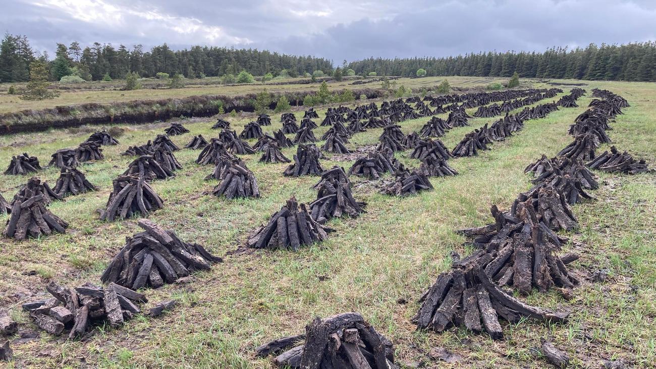Energieversorgung: Torf in Irland: Heimelig, aber unheimlich schädlich ...