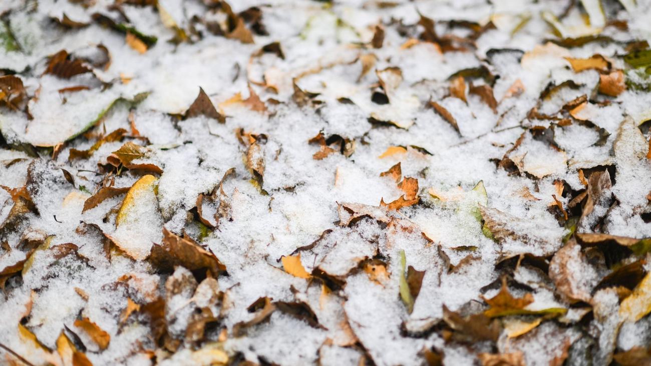 Wetter: Örtlich leichter Schnee und glatte Straßen in Sachsen | DIE ZEIT