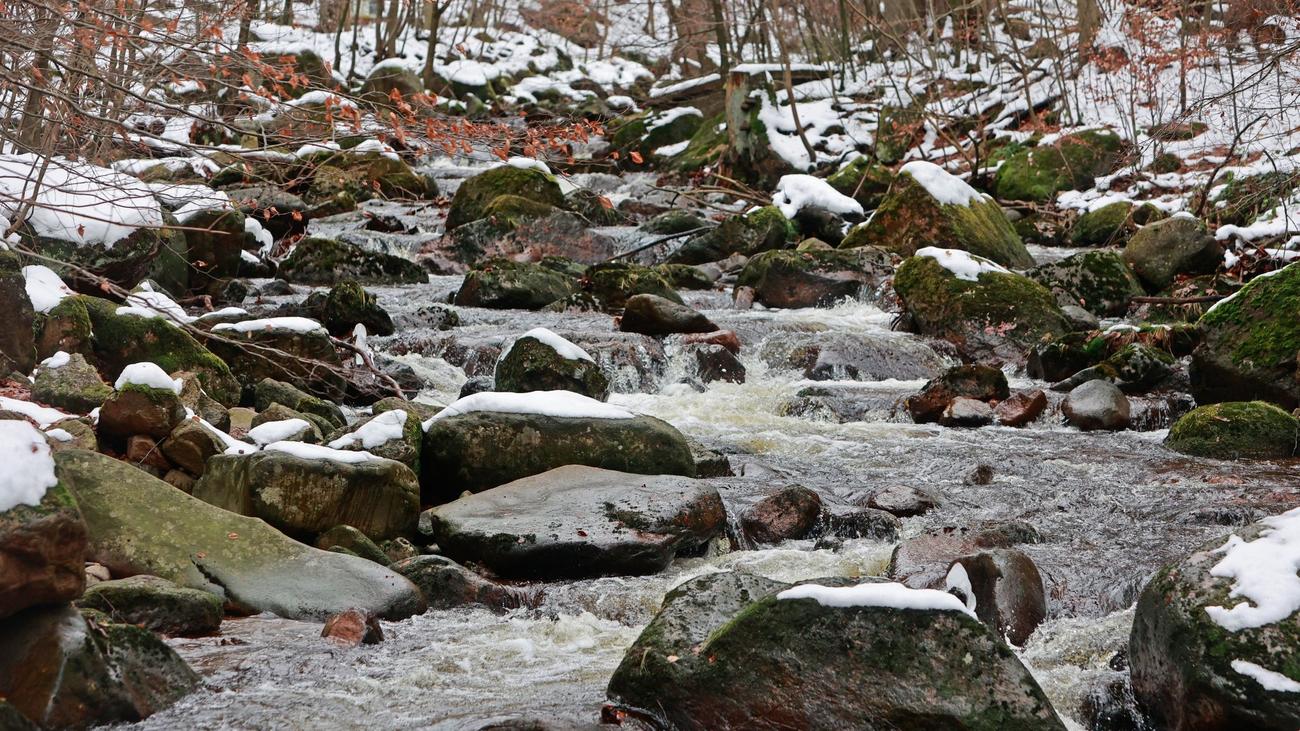 Wetter: Kühler und regnerisch in Sachsen-Anhalt - im Harz Schnee | DIE ZEIT