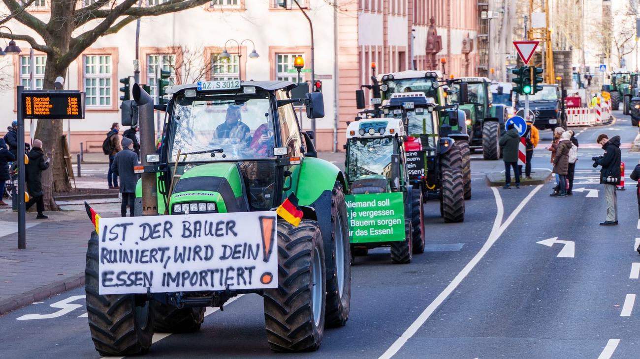 Geplante Subventionskürzungen: Bauern-Proteste vor dem Landtag und beim ...