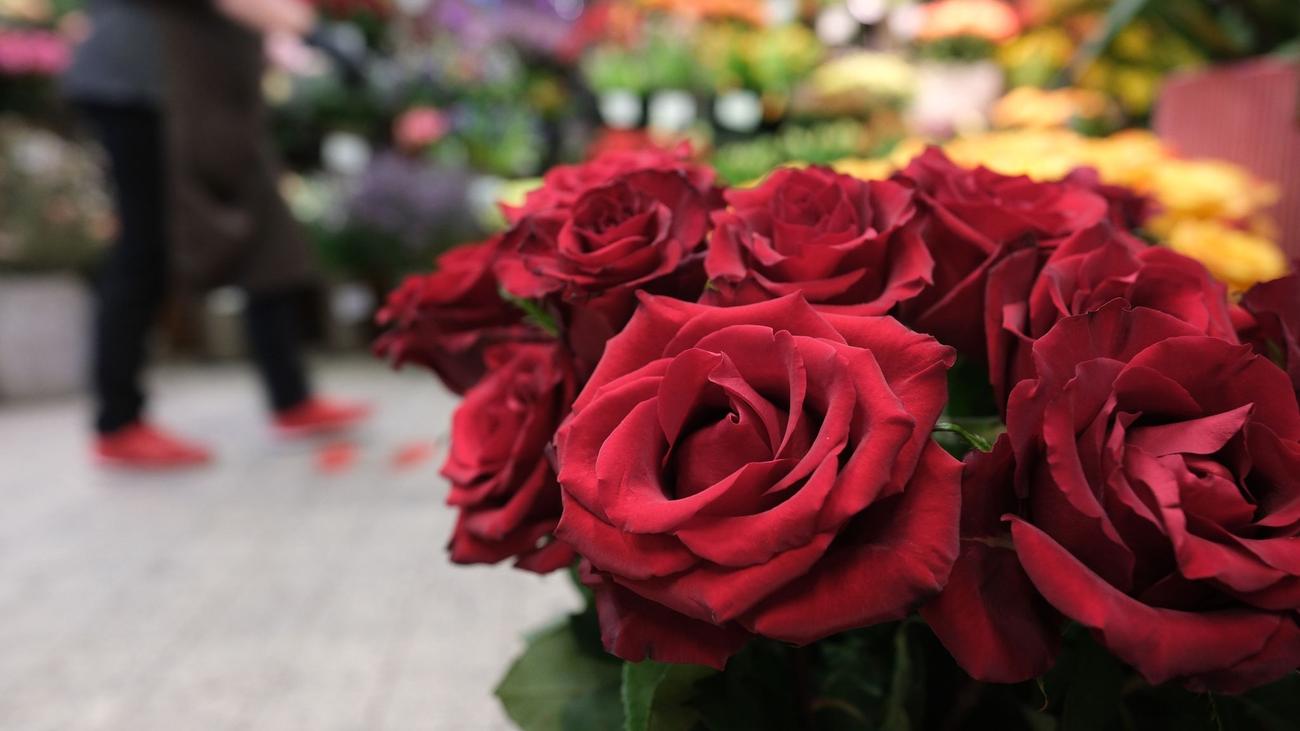 Brauchtum: Millionen Rosen zum Valentinstag in Frankfurt gelandet | DIE ...