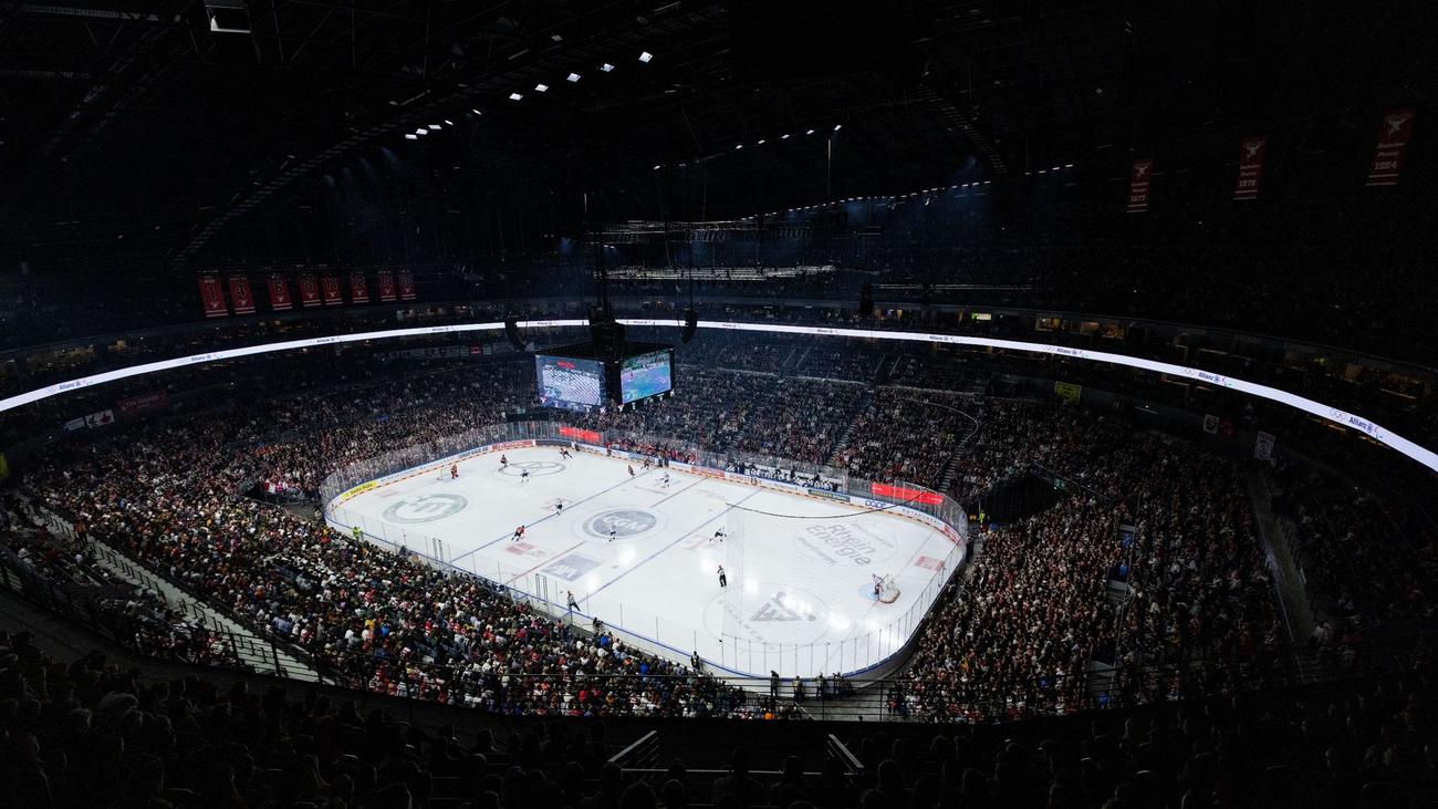 DEL: Kölner Haie ernennen Baldys zum Sportdirektor | DIE ZEIT