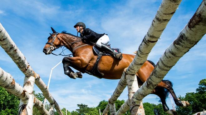 Pferdesport: Sicher statt schnell: Belgier Vereecke gewinnt Großen ...