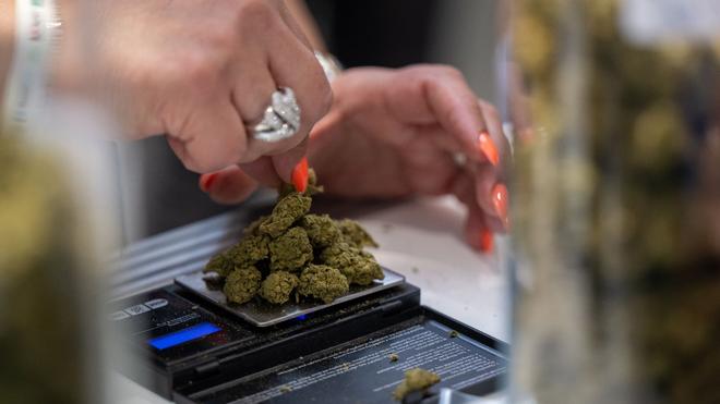 Messe: Hanfmesse "Mary Jane" freut sich über "Besucher-Rekord" | DIE ZEIT