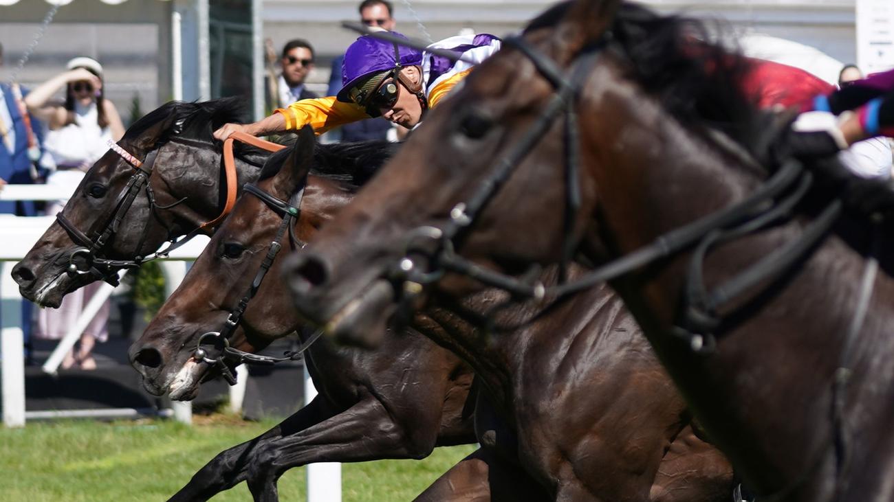 Pferdesport: Lordano gewinnt Großen Hansa-Preis bei der Derby-Woche ...