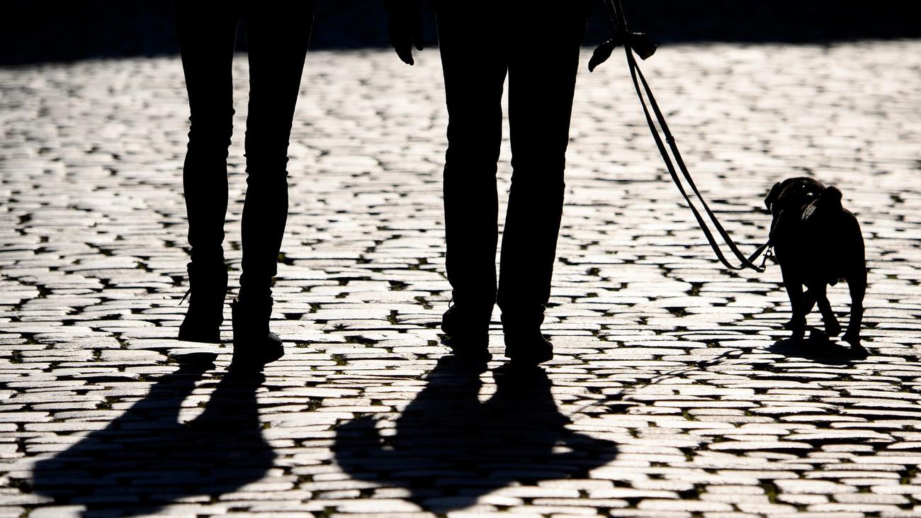 Kriminalität: Zwei Unbekannte schlagen Frau und stehlen ihren Hund ... Kriminalität: Zwei Unbekannte schlagen Frau und stehlen ihren Hund ...