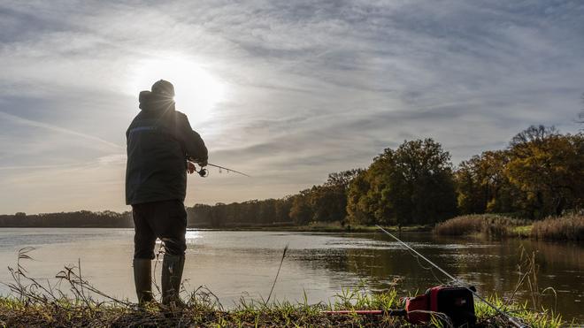 Fischbestand in Grenzfluss: Große Angelaktion - Wie viel Fisch schwimmt ...