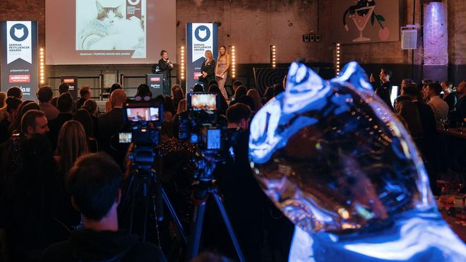 Erfolgreiche Tiere im Netz: Petfluencer-Awards: Auszeichnung für Katzen-Profile vergeben | DIE ZEIT