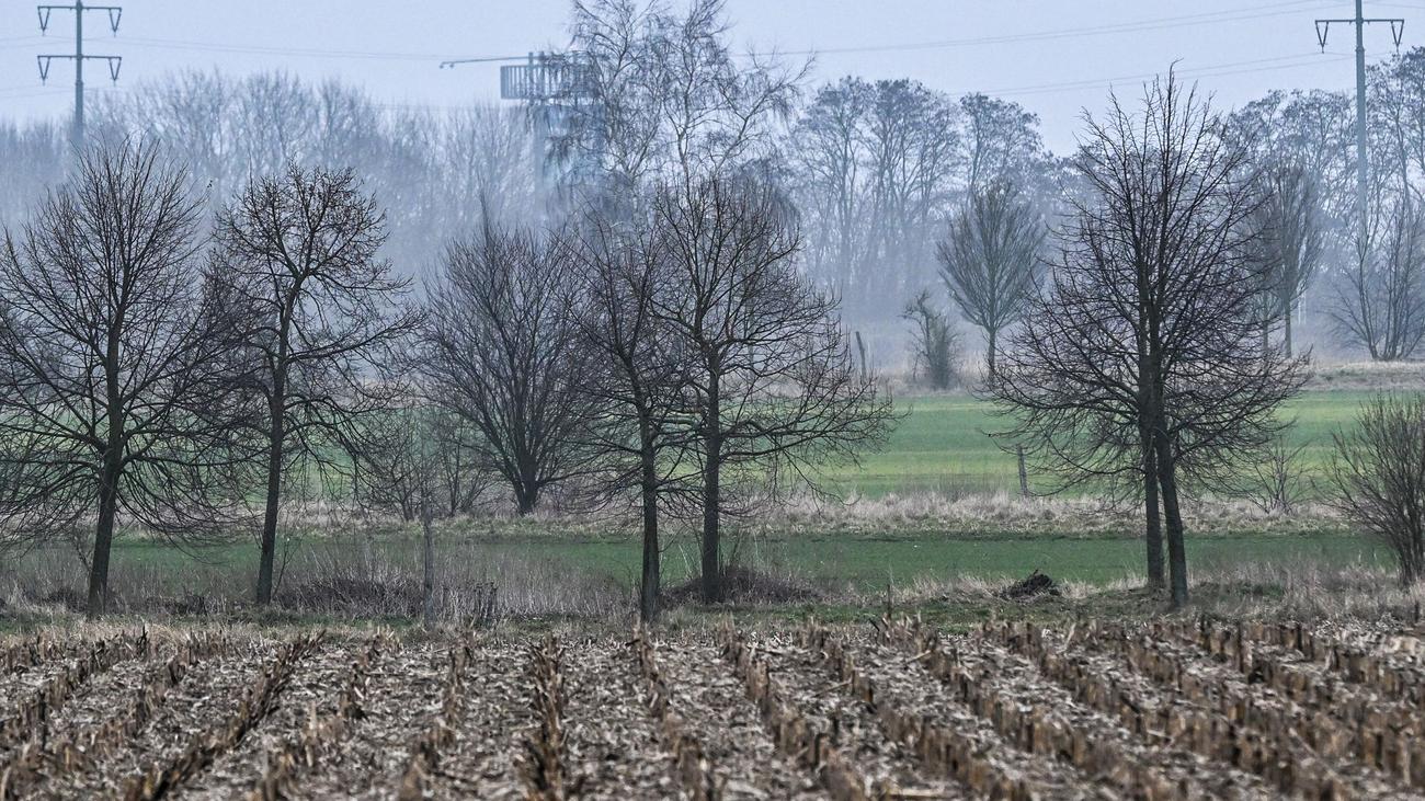 Wetter: Grau und regnerisch in Berlin und Brandenburg | DIE ZEIT