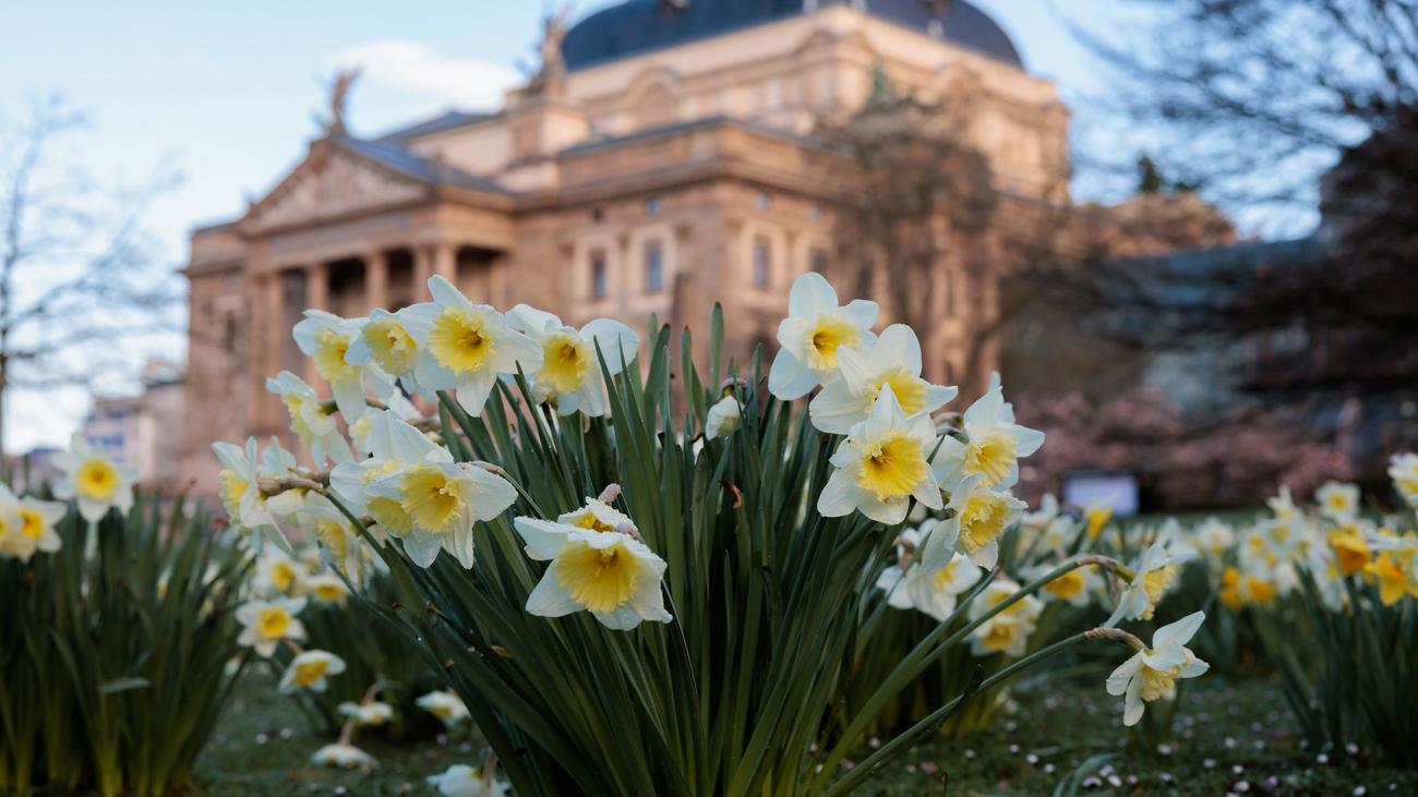 Wetteraussichten: Wettermix bei oft milden Temperaturen | DIE ZEIT