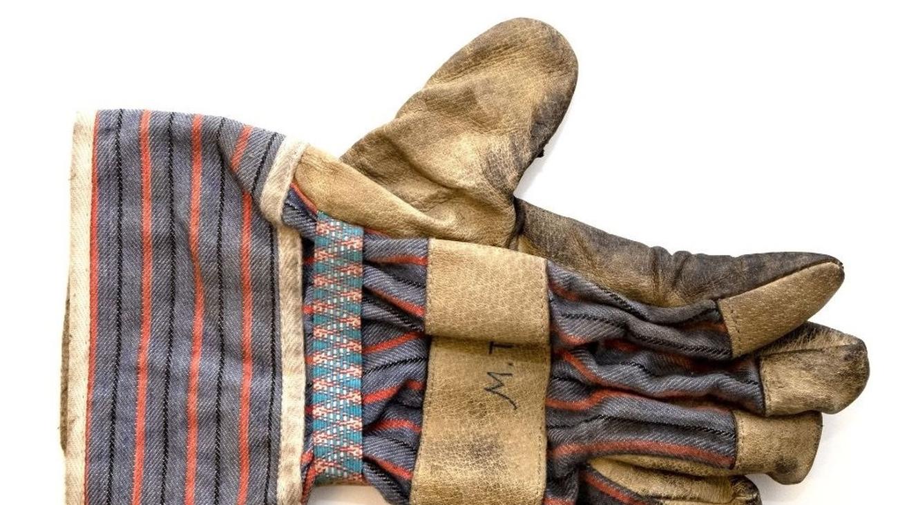 "Cold Case": Durchbruch in Mordfall nach 31 Jahren: Bielefelder in U ...