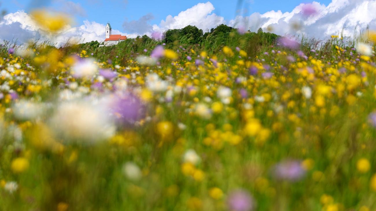 Feiertage: Pfingst-Gottesdienste mit Bieranstich und Schlager | DIE ZEIT