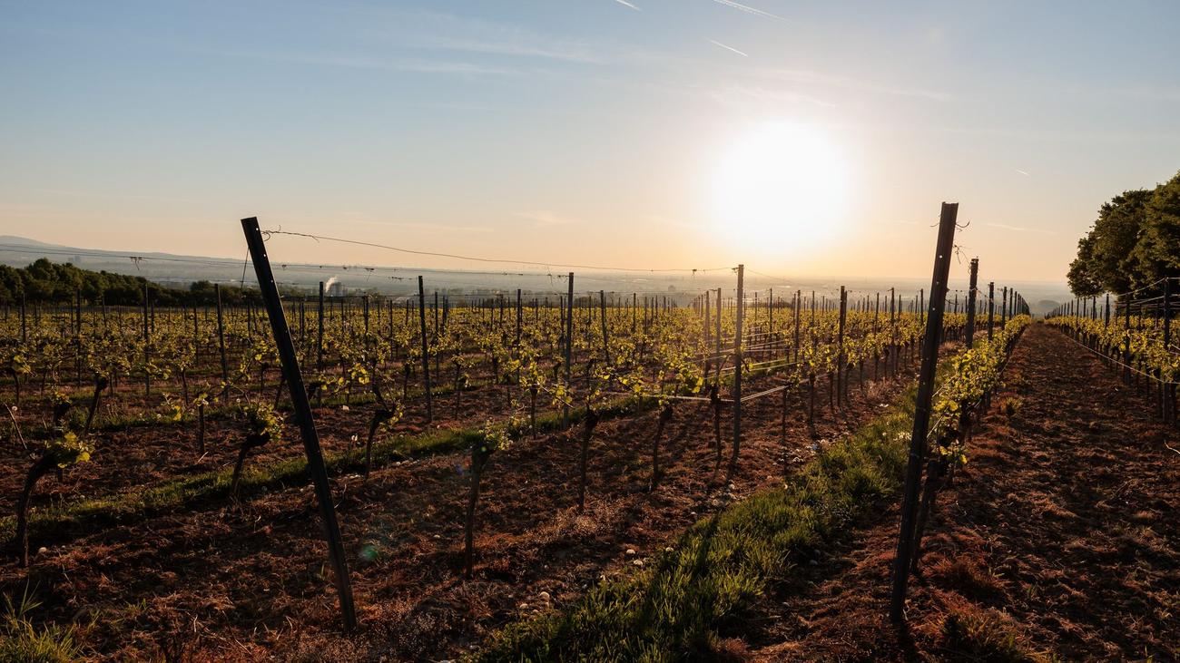 Wetter: Viel Sonne und Hitze erwartet | DIE ZEIT