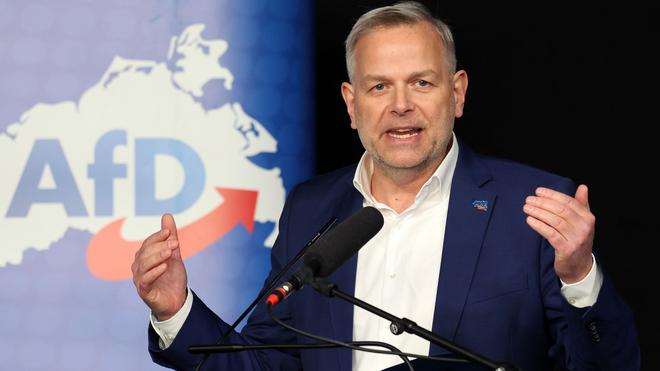 Parteitag: AfD vor MV-Wahlkampf: "Wir wollen die Alleinregierung" | DIE ...