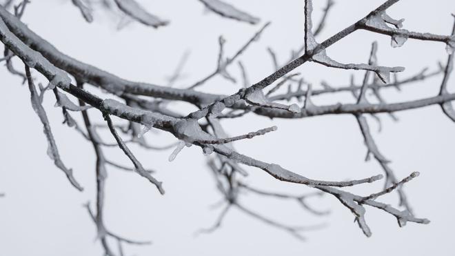 Tiefstwerte: Minus 12 Grad in Coschen: Bundesweit niedrigste Messung ...