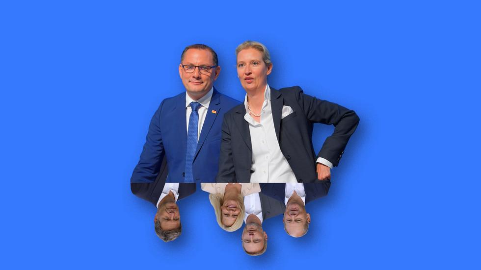 AfD im Umfragehoch : Schrei nach Führung | ZEIT ONLINE