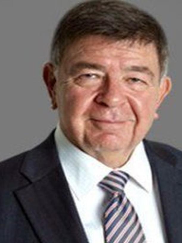 Türkei: Journalist Şahin Alpay aus Untersuchungshaft entlassen | DIE ZEIT