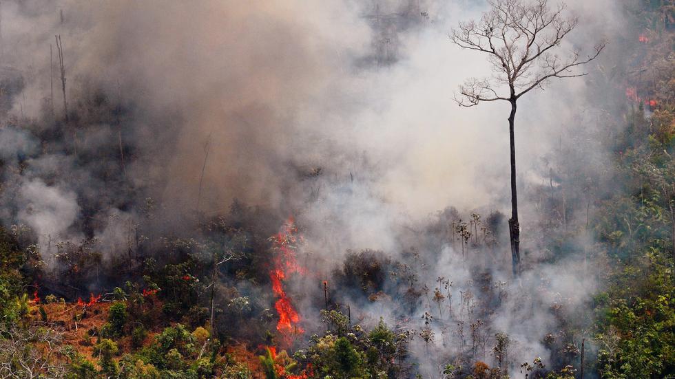 Amazonas: Brasilianische Polizei ermittelt wegen Brandstiftung | ZEIT ...