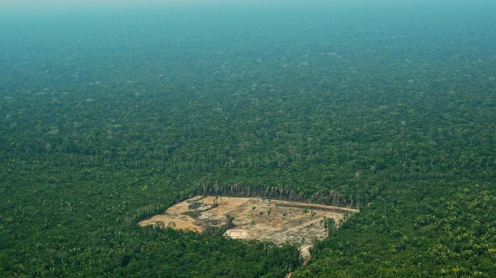 Brasilien: Abholzung des Amazonas-Regenwalds stark ausgeweitet | ZEIT ... Brasilien: Abholzung des Amazonas-Regenwalds stark ausgeweitet | ZEIT ...